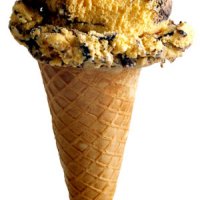 Tigerstripe - iVlog.TV Live Broadcasting